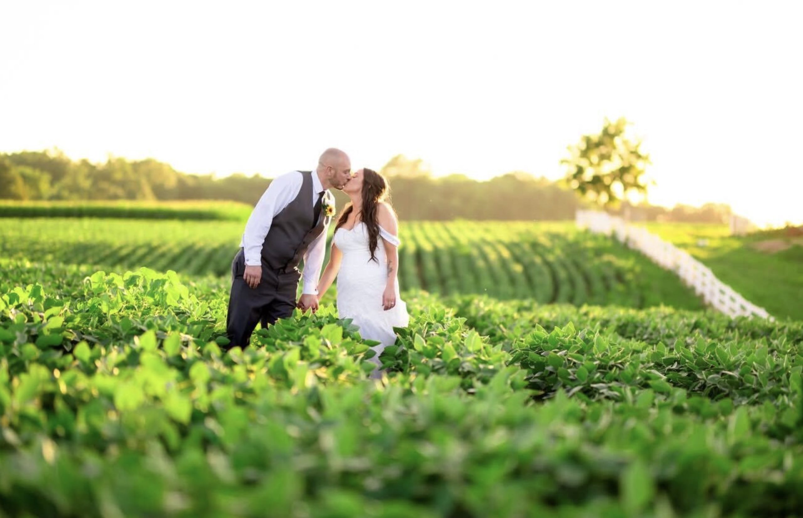 The Mane Barn at Nickajack Farms: World's Best Wedding Venues